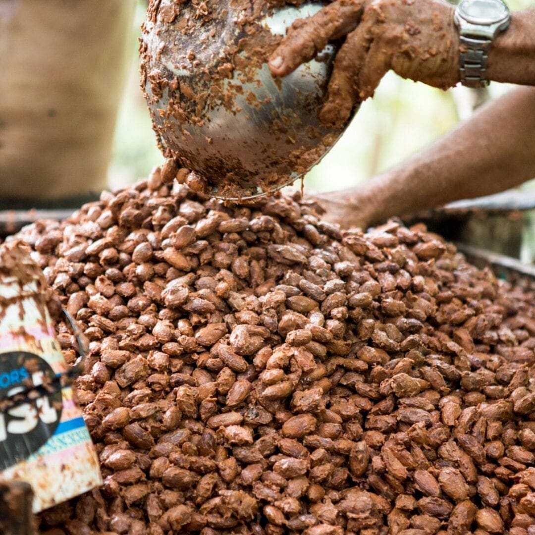 How We Make Chocolate | ChocoSombra